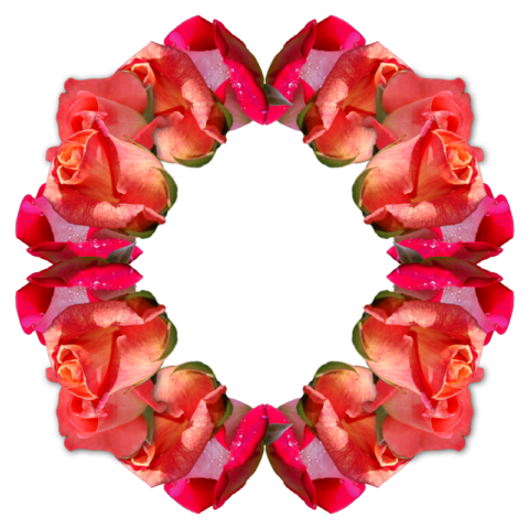 Botany Restaurant & Bar | Brisbane Bar | Gasworks Newstead