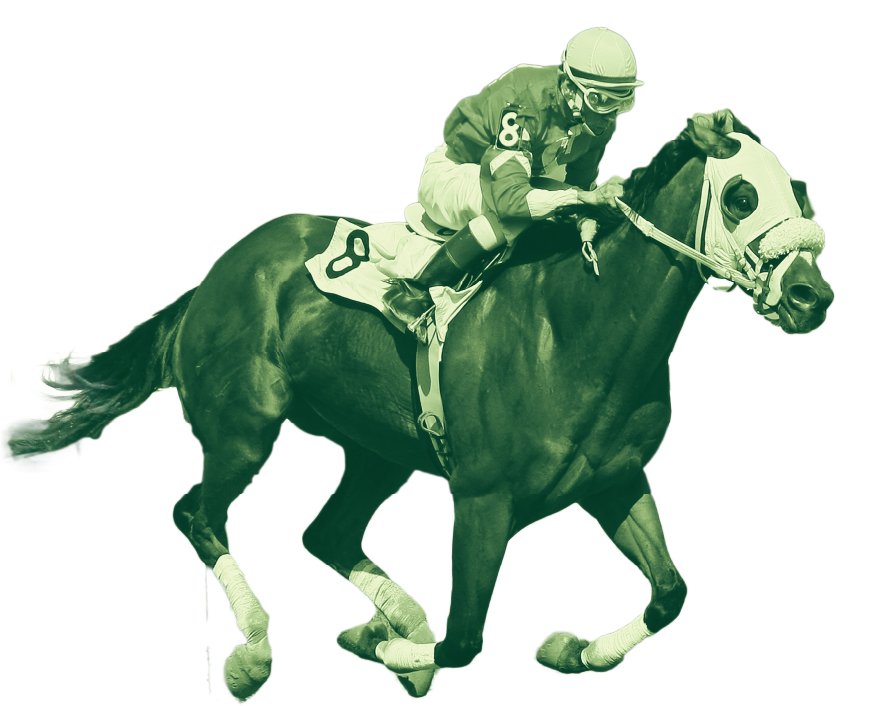 Botany Restaurant & Bar | Brisbane Bar | Gasworks Newstead